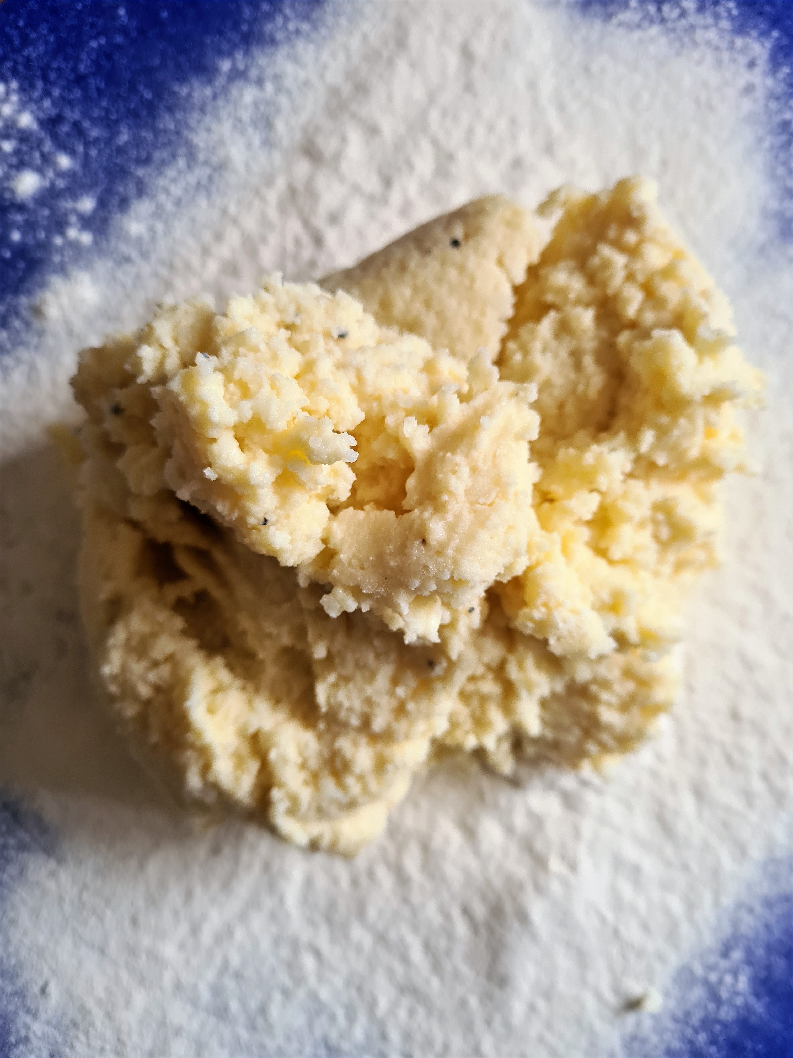 Easy Fried Gnocchi – Kitchen Feasts