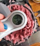 Ruby Chocolate Mendiants – Kitchen Feasts